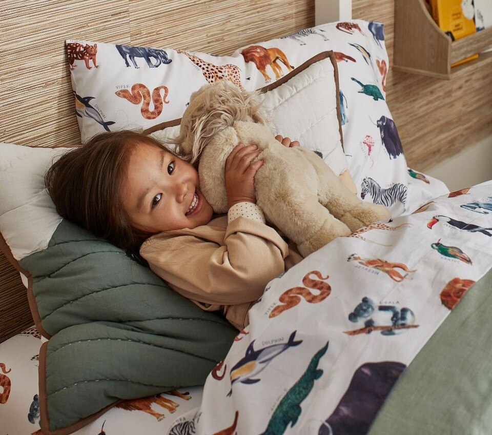 Brendan Animals Organic Sheet Set & Pillowcases - Pottery Barn Kids ...