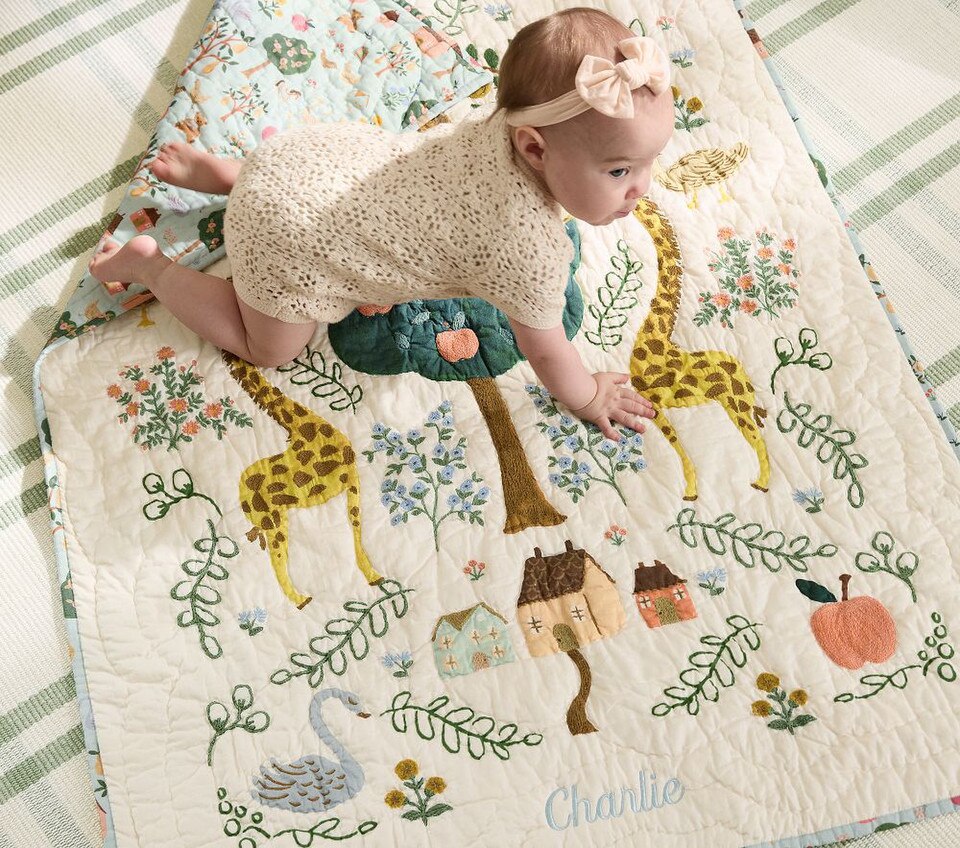 Rifle Paper Co. Storybook Baby Comforter | Pottery Barn Kids AU